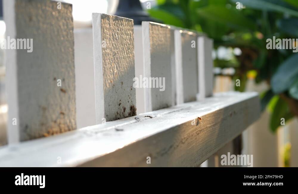 White front gate Stock Videos & Footage - HD and 4K Video Clips - Alamy