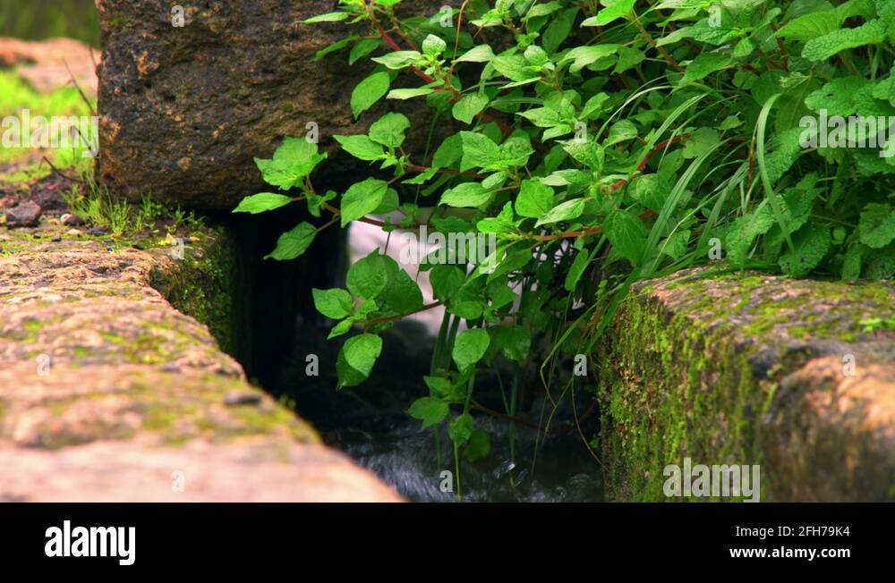 Stone culvert river Stock Videos & Footage - HD and 4K Video Clips - Alamy