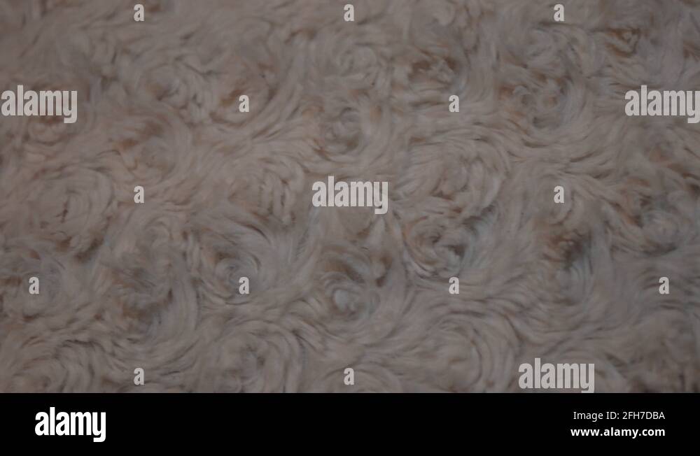 White fluffy texture Stock Videos & Footage - HD and 4K Video Clips - Alamy