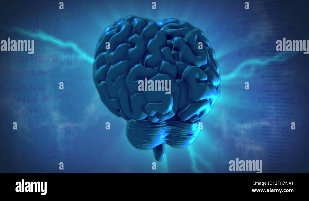 Evolution human brain Stock Videos & Footage - HD and 4K Video Clips ...