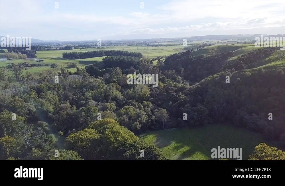 Native bushland Stock Videos & Footage - HD and 4K Video Clips - Alamy