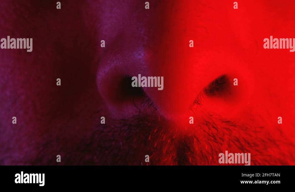 Sensing sniffing Stock Videos & Footage - HD and 4K Video Clips - Alamy