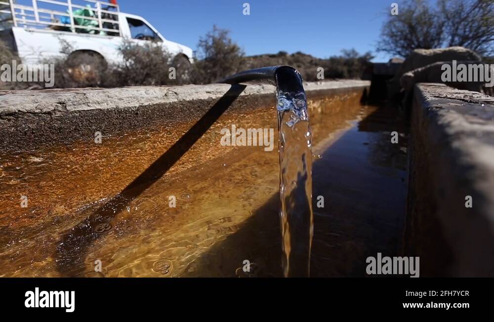 Farm water trough Stock Videos & Footage - HD and 4K Video Clips - Alamy