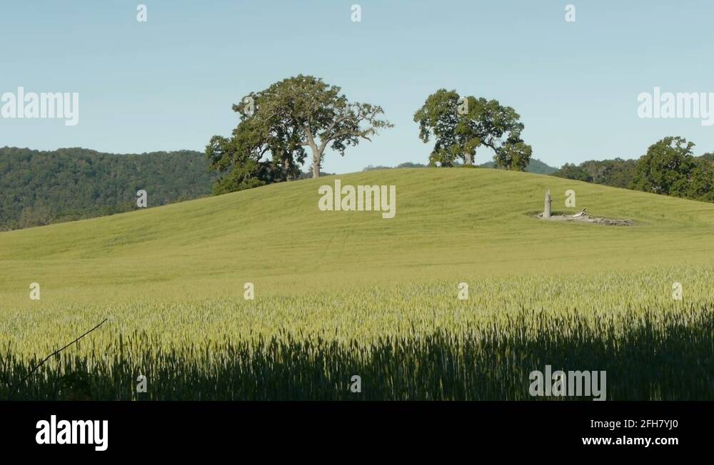 Bluff country Stock Videos & Footage - HD and 4K Video Clips - Alamy