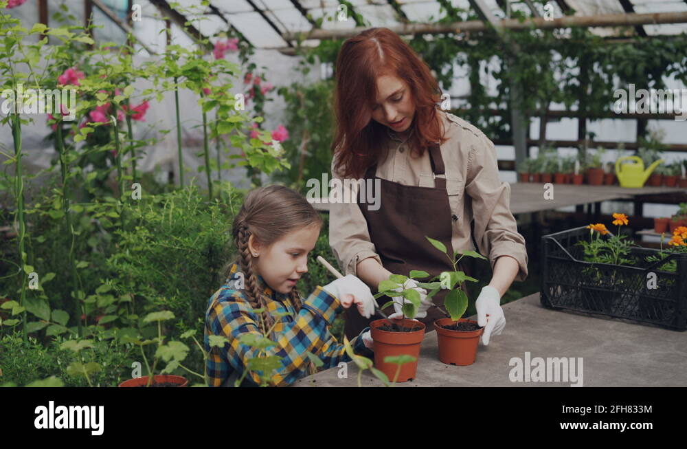 Hoing Stock Videos & Footage - HD and 4K Video Clips - Alamy