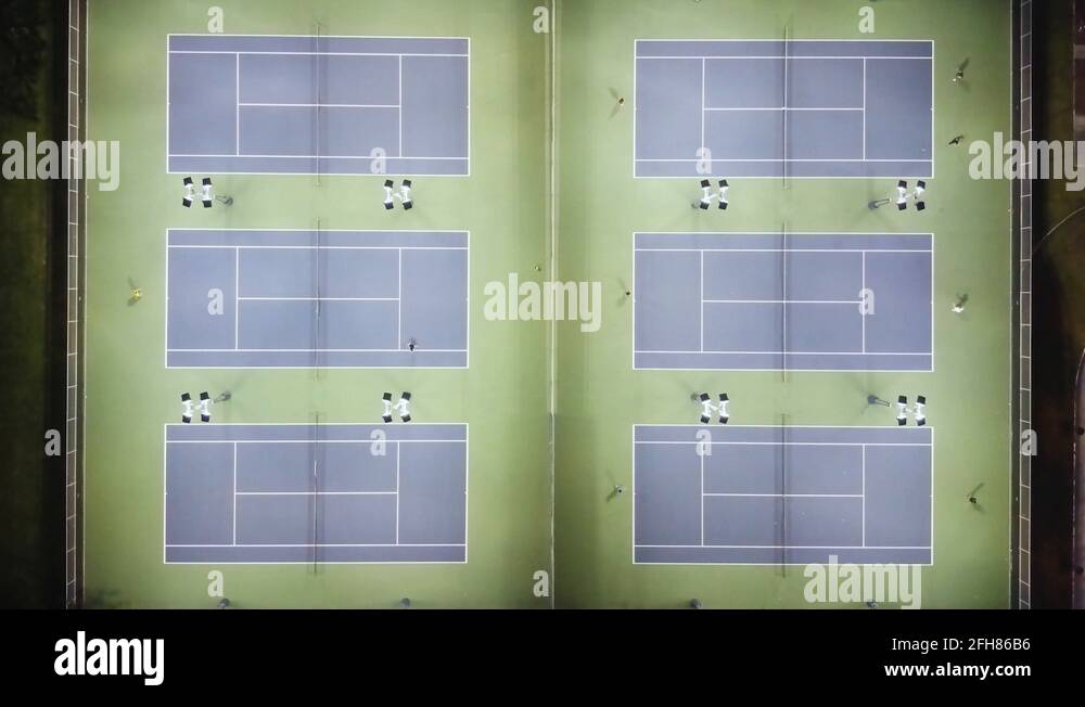 Courts birds Stock Videos & Footage - HD and 4K Video Clips - Alamy