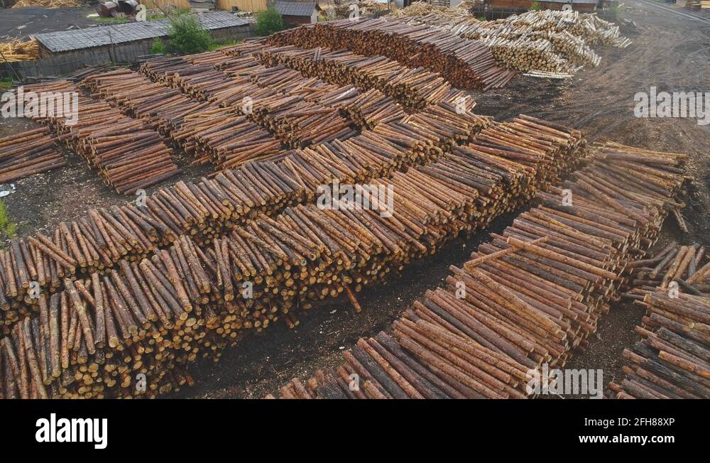 Stacked log Stock Videos & Footage - HD and 4K Video Clips - Alamy