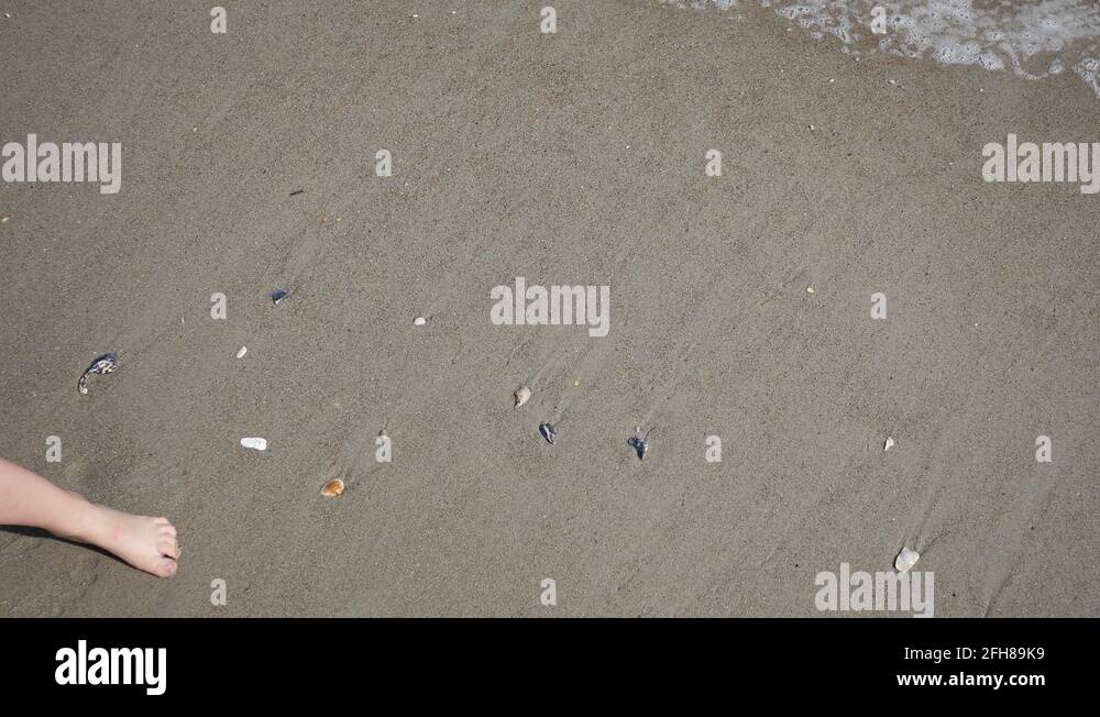 Kid picking up shells Stock Videos & Footage - HD and 4K Video Clips ...