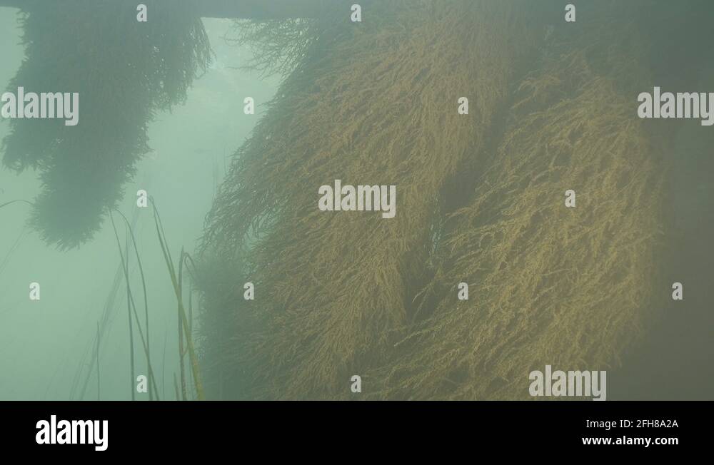 Huge river Stock Videos & Footage - HD and 4K Video Clips - Alamy