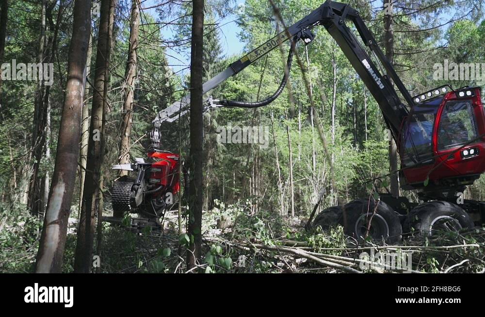 Forest cutting, timber harvester, special equipment, sawmill in the ...