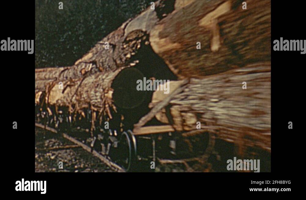 Log train Stock Videos & Footage - HD and 4K Video Clips - Alamy