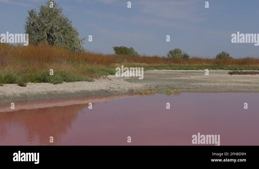 Puddles that left on the bottom of the drying up of salty estuary Stock ...