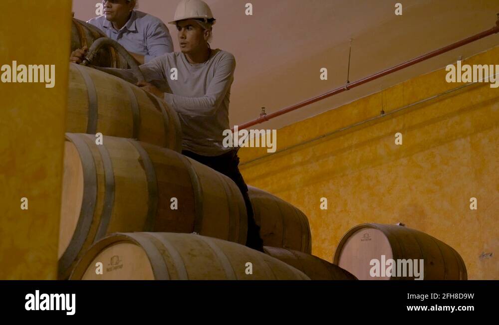 Mexican workers factory Stock Videos & Footage - HD and 4K Video Clips ...