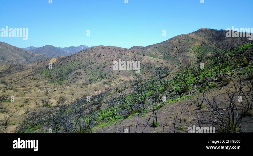 Burned landscape Stock Videos & Footage - HD and 4K Video Clips - Alamy