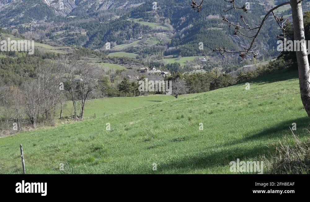 Tree hamlet Stock Videos & Footage - HD and 4K Video Clips - Alamy
