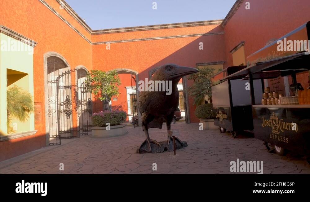 Bronze carts Stock Videos & Footage - HD and 4K Video Clips - Alamy