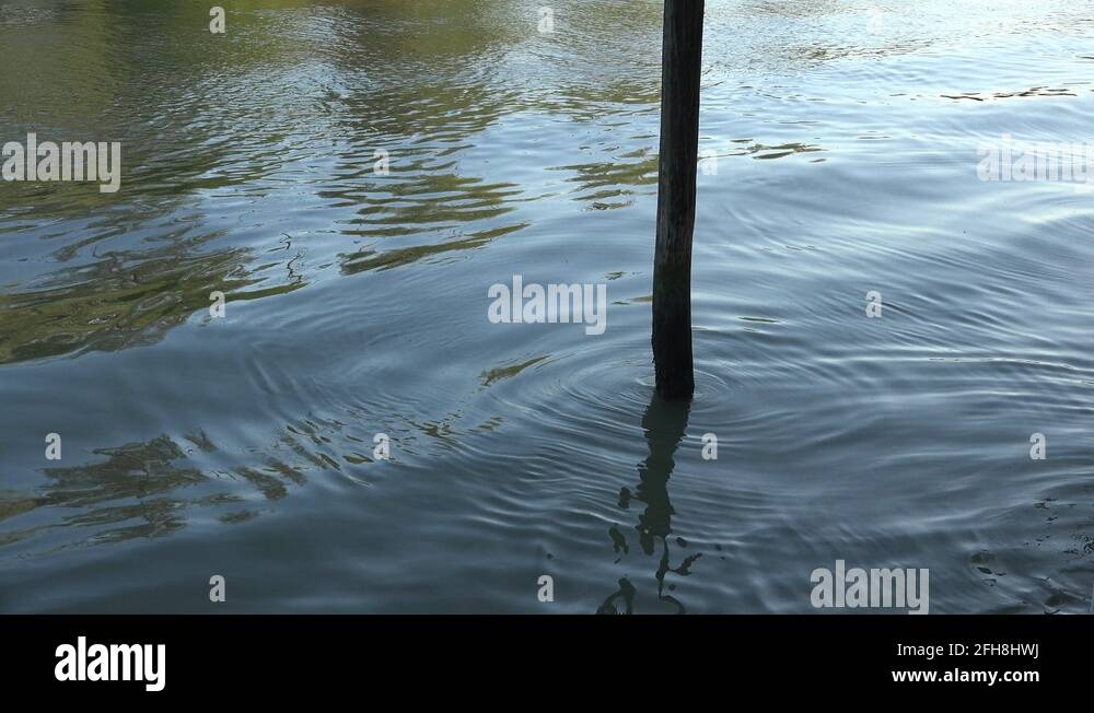 Piling a Stock Videos & Footage - HD and 4K Video Clips - Alamy