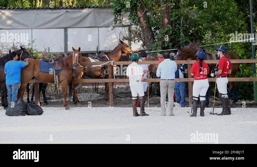 Horse stables team Stock Videos & Footage - HD and 4K Video Clips - Alamy