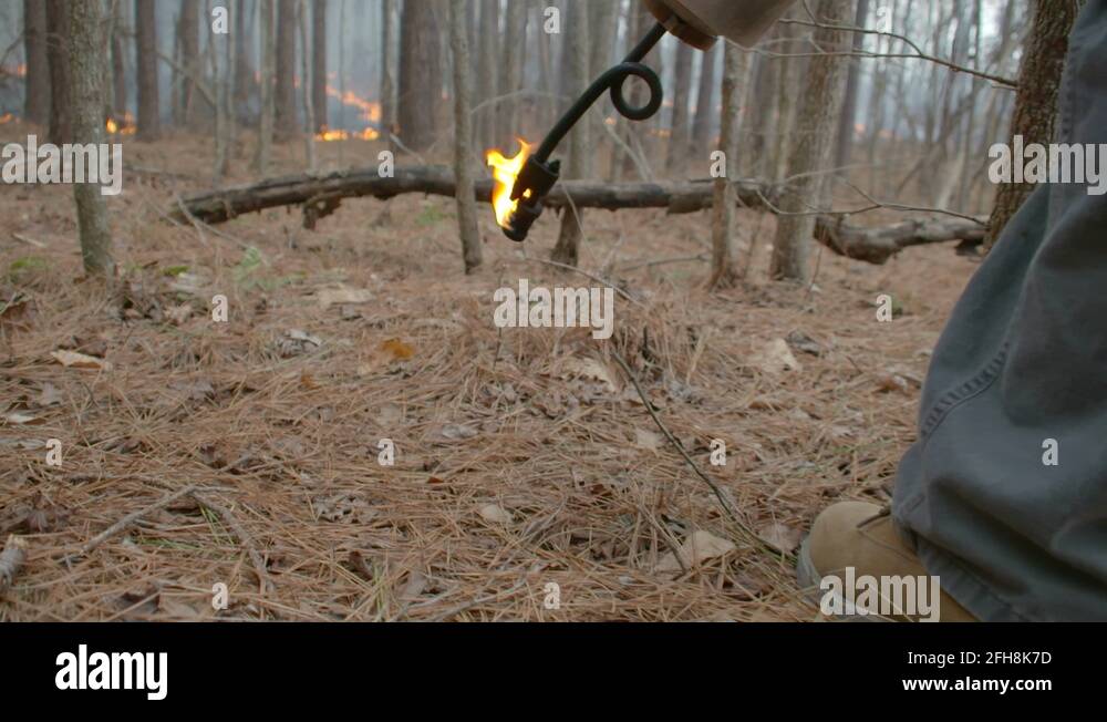 Fire heat burn torch Stock Videos & Footage - HD and 4K Video Clips - Alamy
