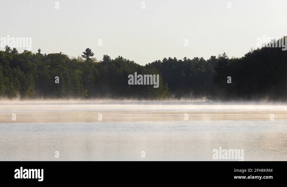 Swirls of mist Stock Videos & Footage - HD and 4K Video Clips - Alamy