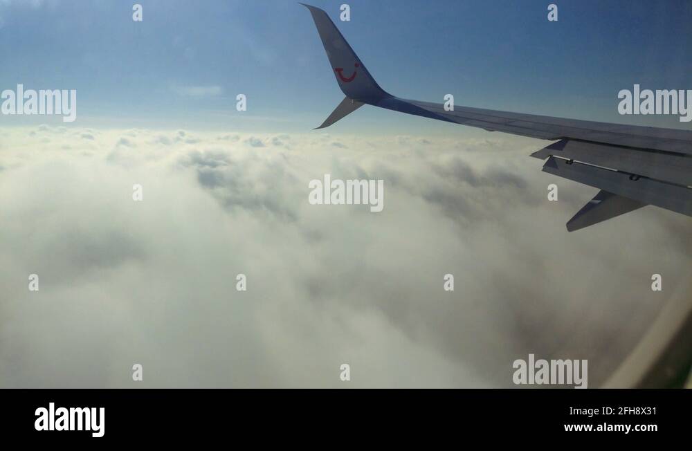 Tui wing Stock Videos & Footage - HD and 4K Video Clips - Alamy