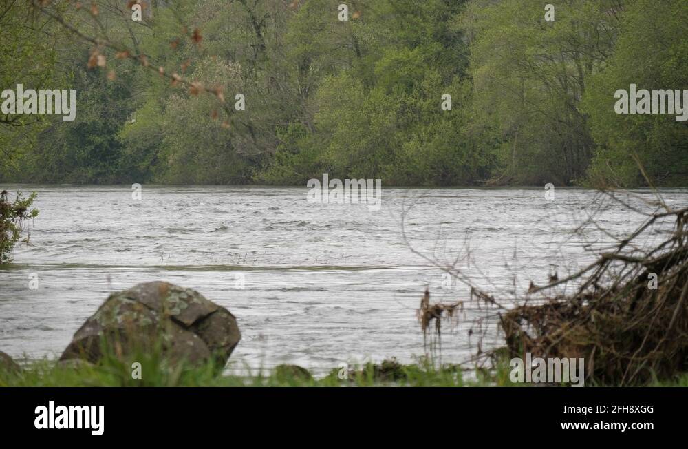 overflowing river with raging water flood slow motion 4k Stock Video ...