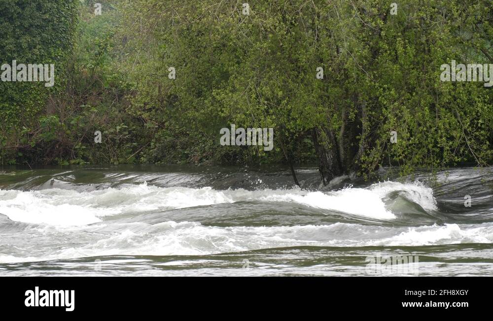 overflowing river with raging water flood slow motion 4k Stock Video ...