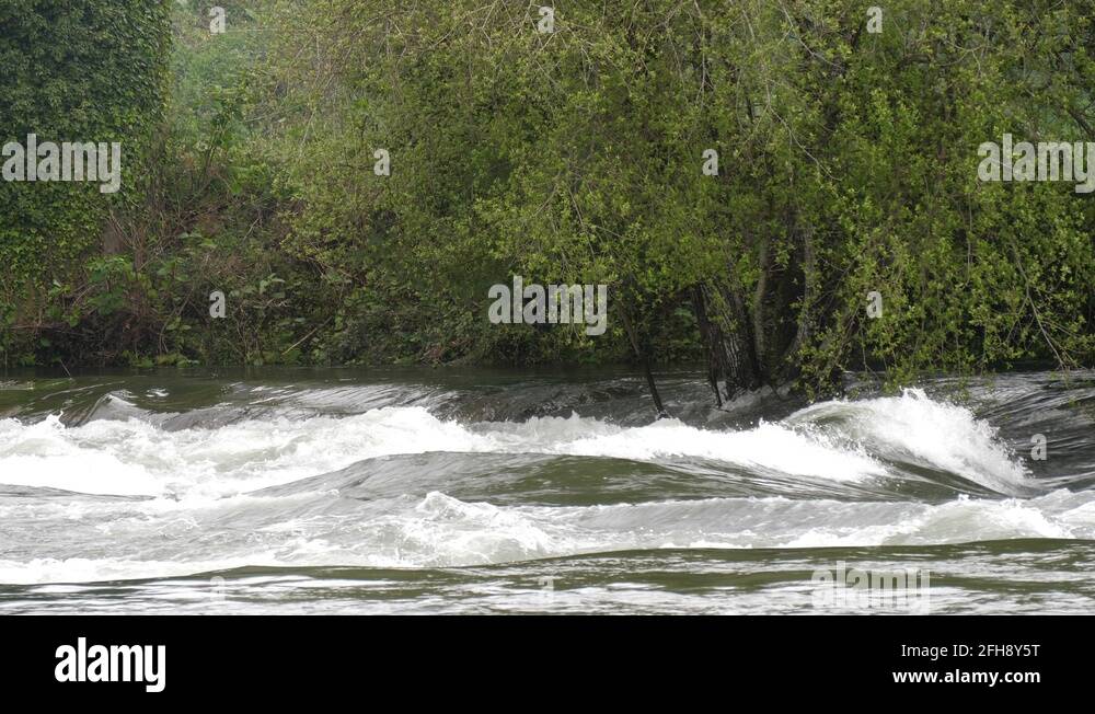 overflowing river with raging water 4k Stock Video Footage - Alamy