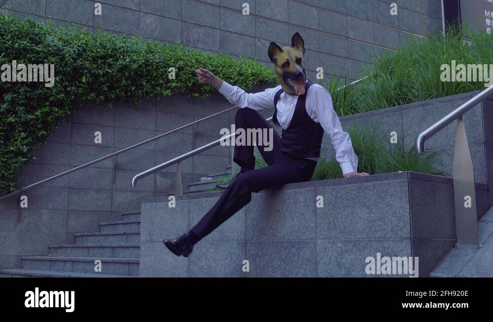 Horse stairs Stock Videos & Footage - HD and 4K Video Clips - Alamy