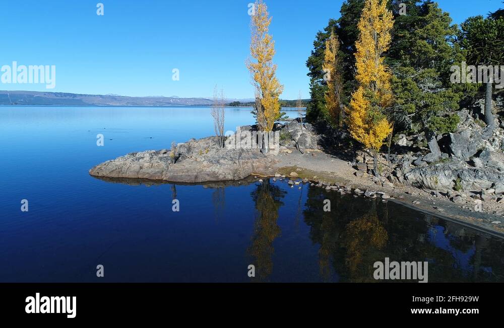 Populus alba pyramidalis Stock Videos & Footage - HD and 4K Video Clips ...