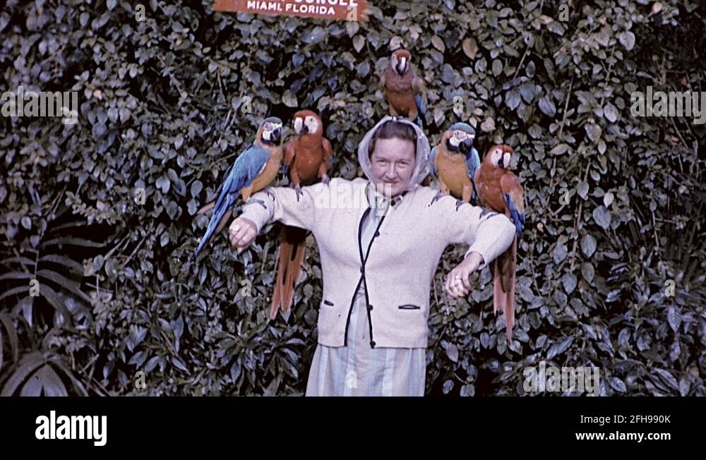 1950s funny Stock Videos & Footage - HD and 4K Video Clips - Alamy