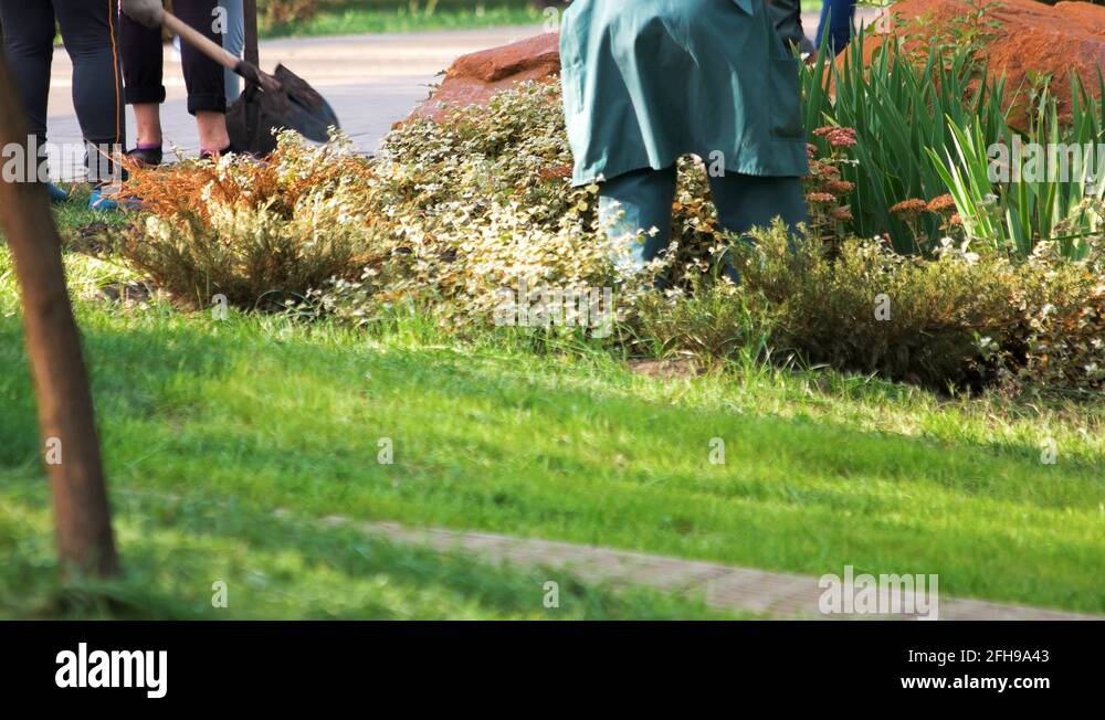 People digging in garden Stock Videos & Footage - HD and 4K Video Clips ...