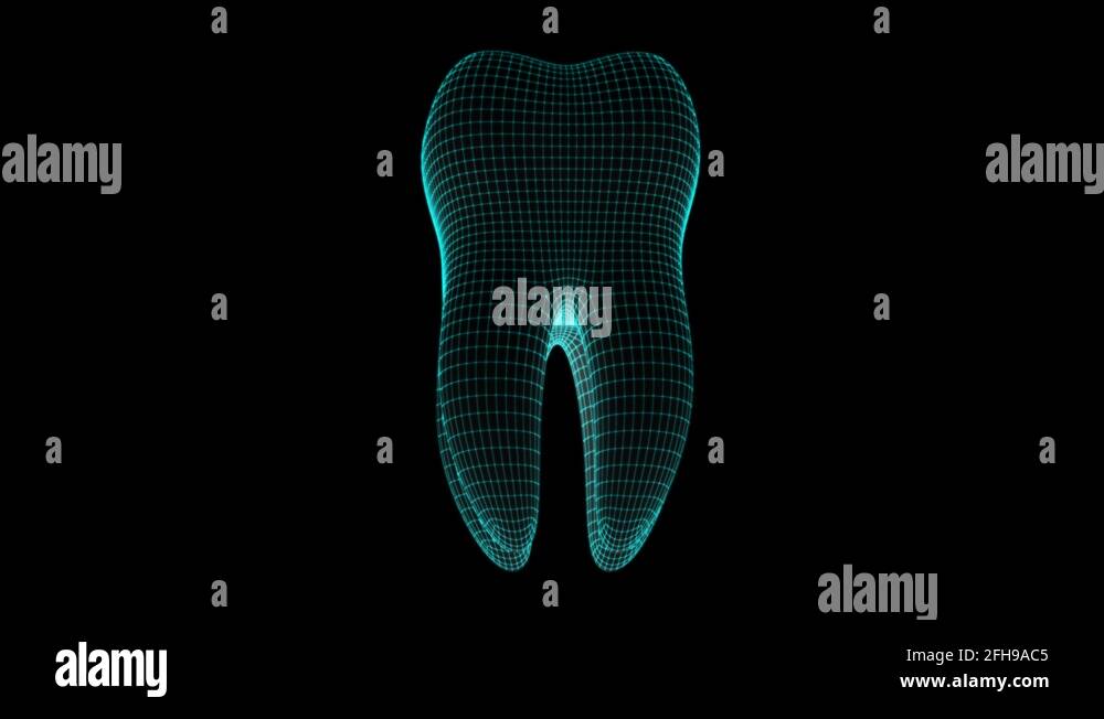 Tooth. Looping footage with Encoder Prores 4444 has 4K Resolution Stock ...