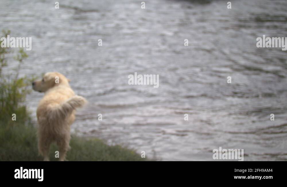 Swimming swim stick sticks Stock Videos & Footage - HD and 4K Video ...