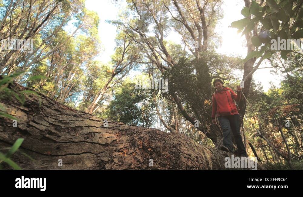 Risk taking woman Stock Videos & Footage - HD and 4K Video Clips - Alamy