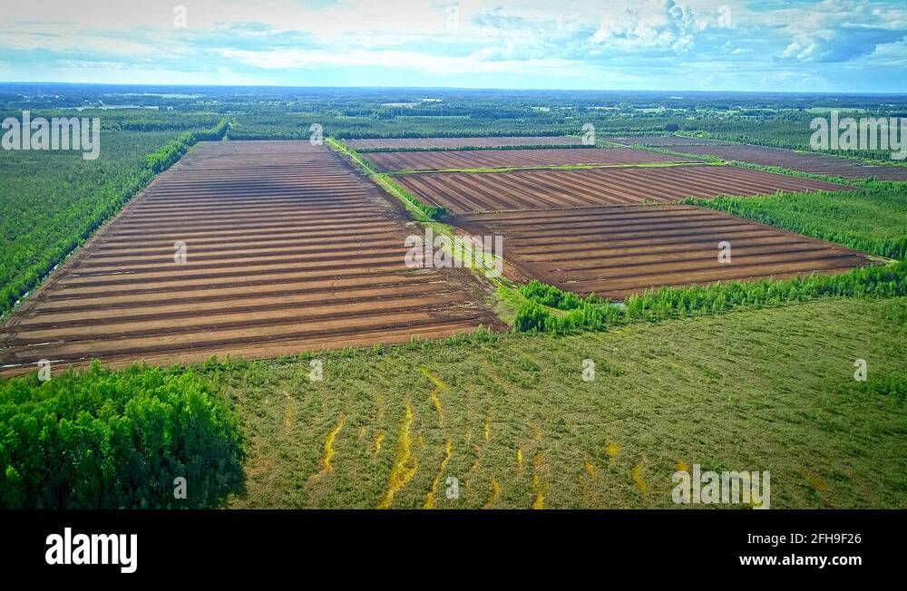 Drained marsh Stock Videos & Footage - HD and 4K Video Clips - Alamy
