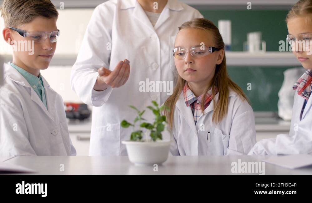 Students science class plant Stock Videos & Footage - HD and 4K Video ...