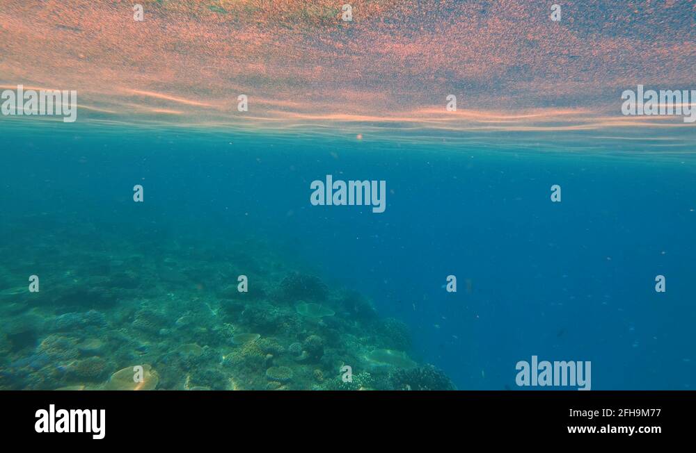 Sediment floating on polluted ocean surface Fiji Pacific Stock Video ...