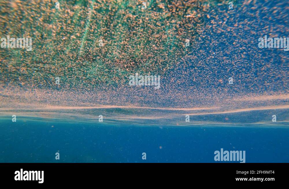 Ocean pollution sediment floating on the surface Fiji Stock Video ...