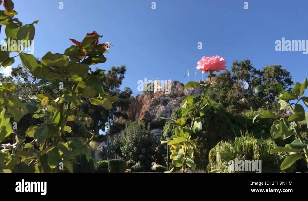 Prophet Stock Videos & Footage - HD and 4K Video Clips - Alamy