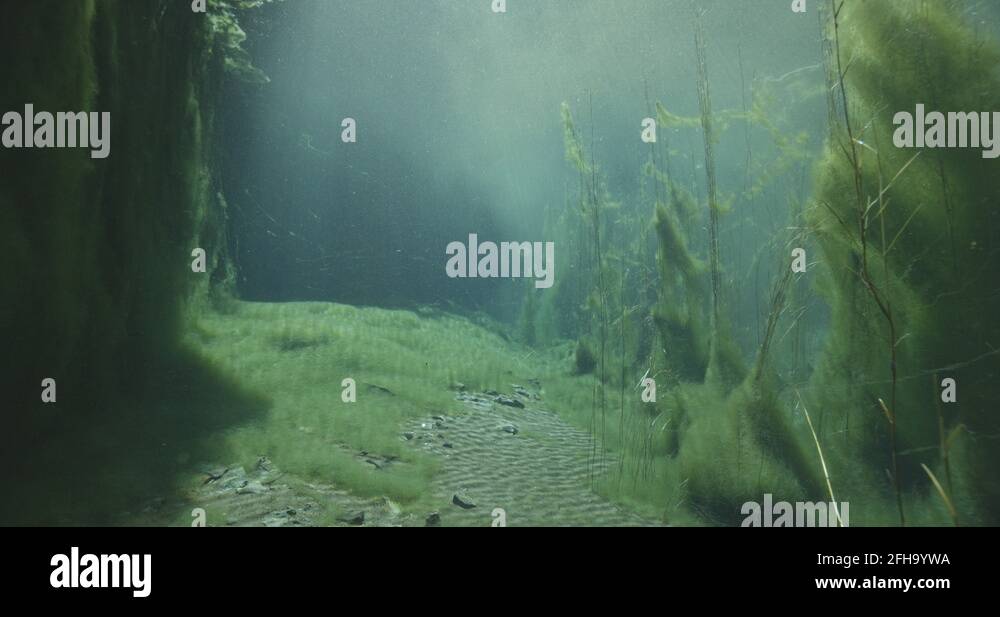 Underwater transparent Stock Videos & Footage - HD and 4K Video Clips ...