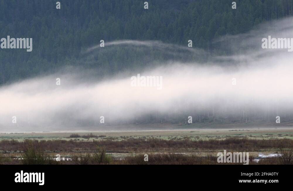 Yellowstone landscape Stock Videos & Footage - HD and 4K Video Clips ...