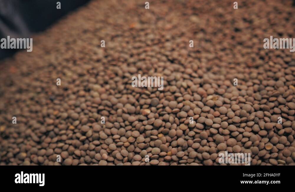 Close up chia seed Stock Videos & Footage - HD and 4K Video Clips - Alamy