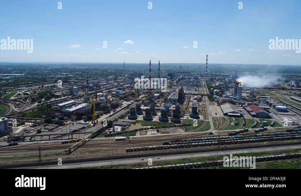Giant plant Stock Videos & Footage - HD and 4K Video Clips - Alamy