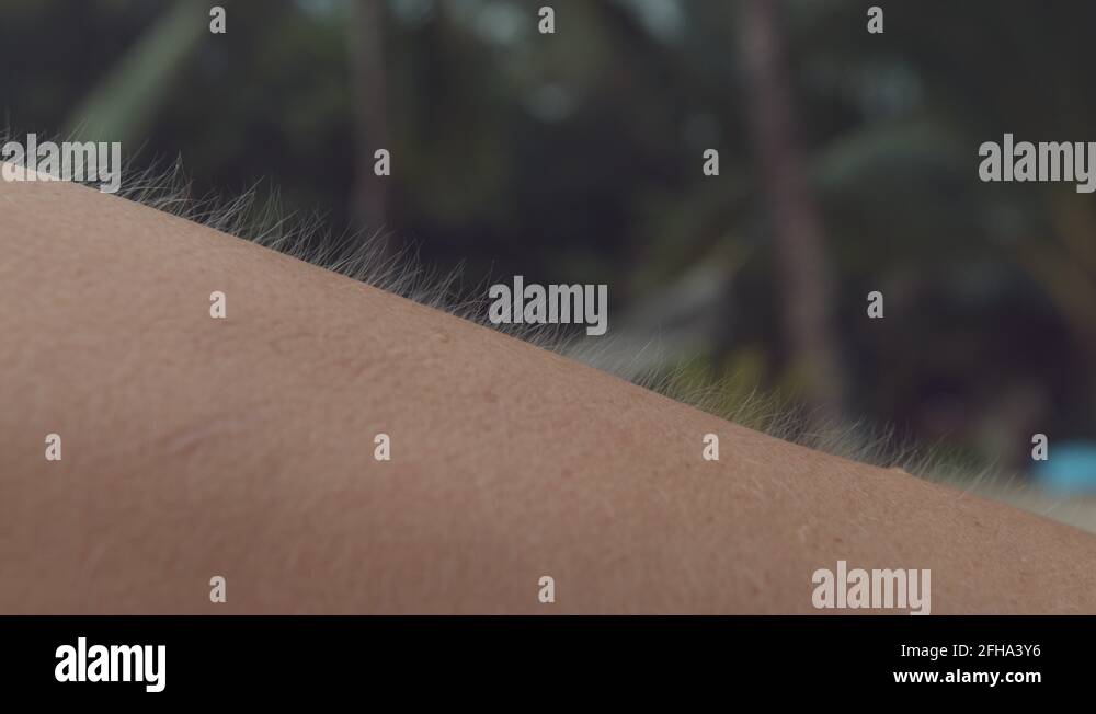 Goosebumps arm Stock Videos & Footage - HD and 4K Video Clips - Alamy