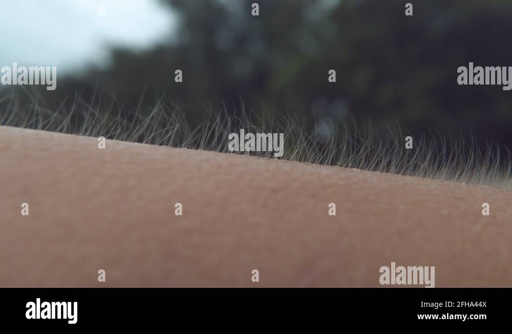 Raised hair Stock Videos & Footage - HD and 4K Video Clips - Alamy