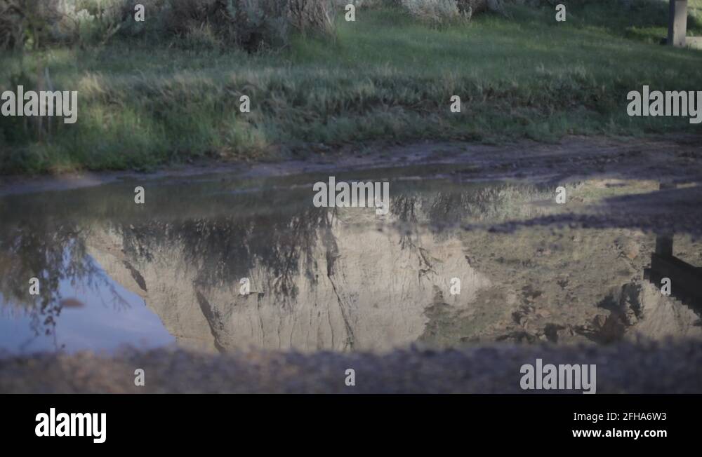 Reflection in mud puddle Stock Videos & Footage - HD and 4K Video Clips ...