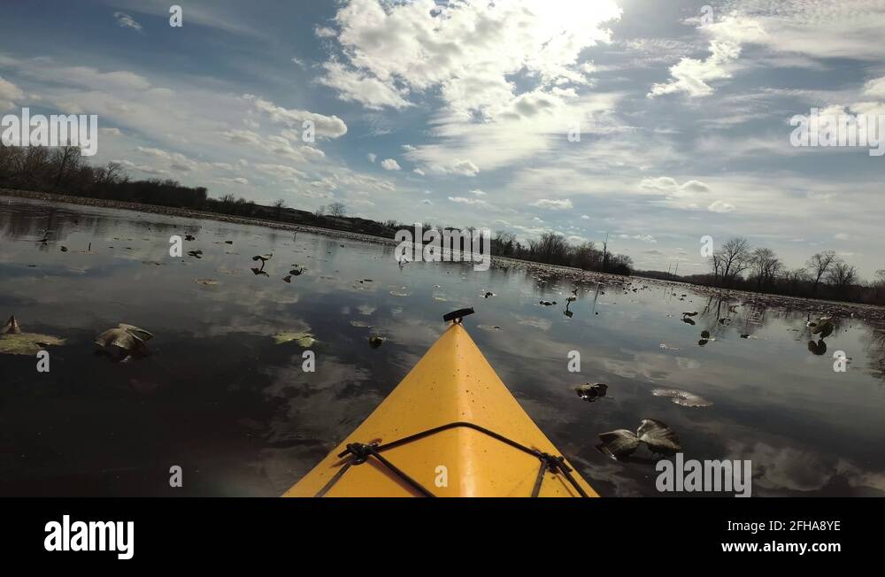 Floating on the lake kayak, a lake overgrown with aquatic plants, a ...