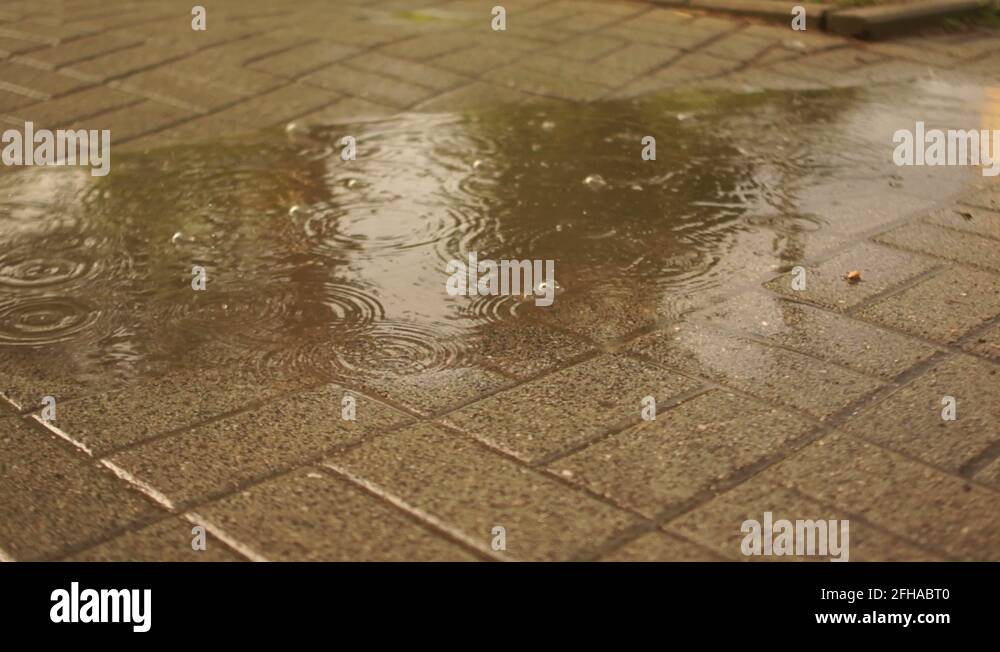 Puddle on the pavement. Drops of rain fall into the water. Baby bare ...