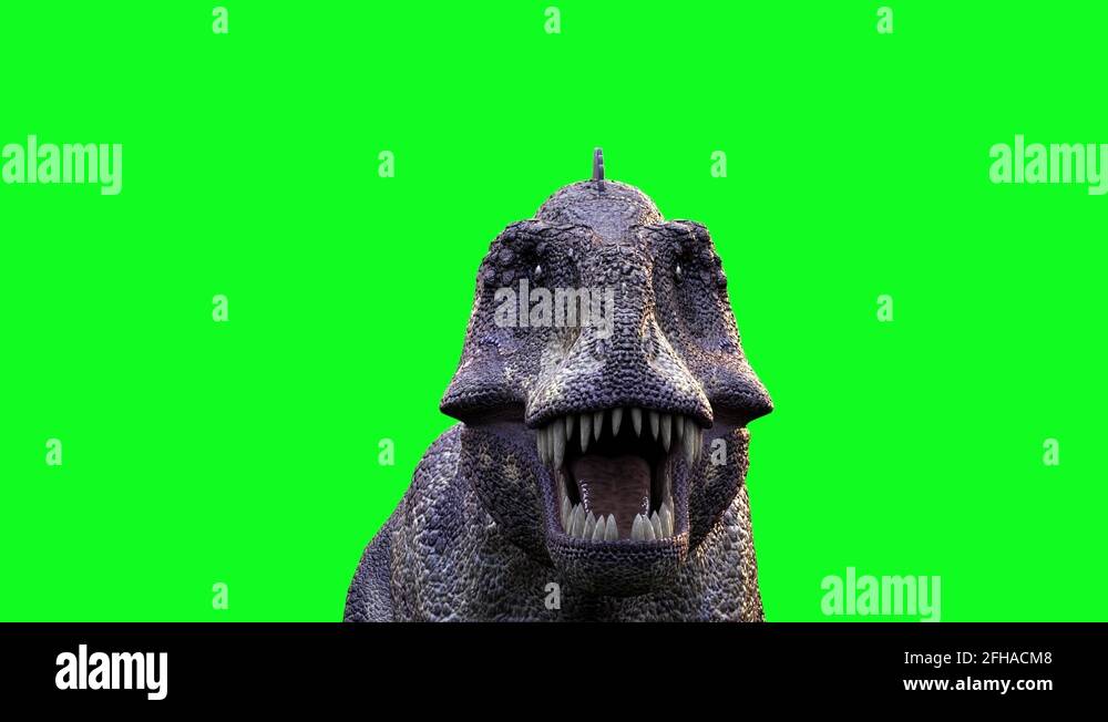 animate a running dinosaur Tyrannosaurus Rex 3d render on green ...